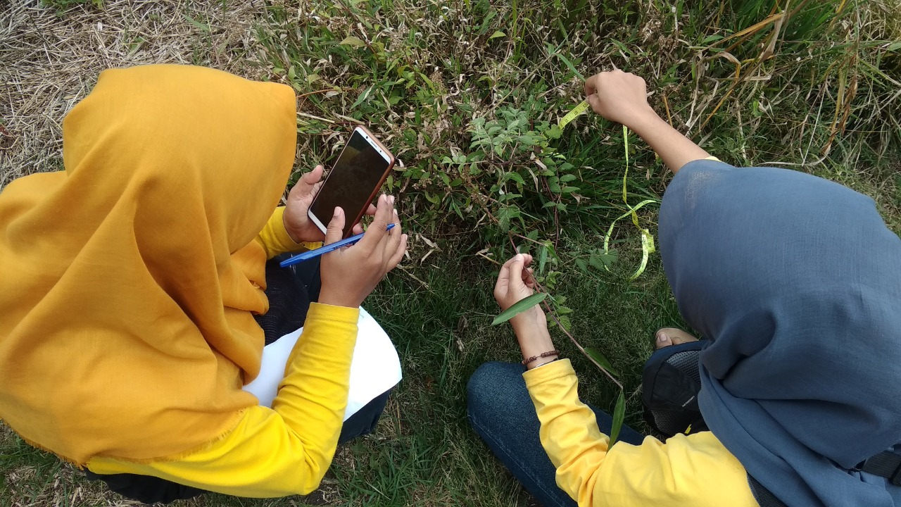 Pendakian Wajib MPA Pring Kuning – BEM Farmasi Universitas Jember
